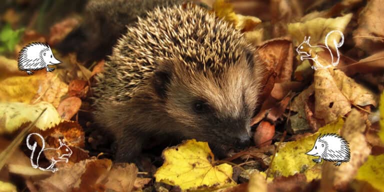 Lineal, Zollstock und Tuchelle: Längen-Messgeräte - Lehrerinsel